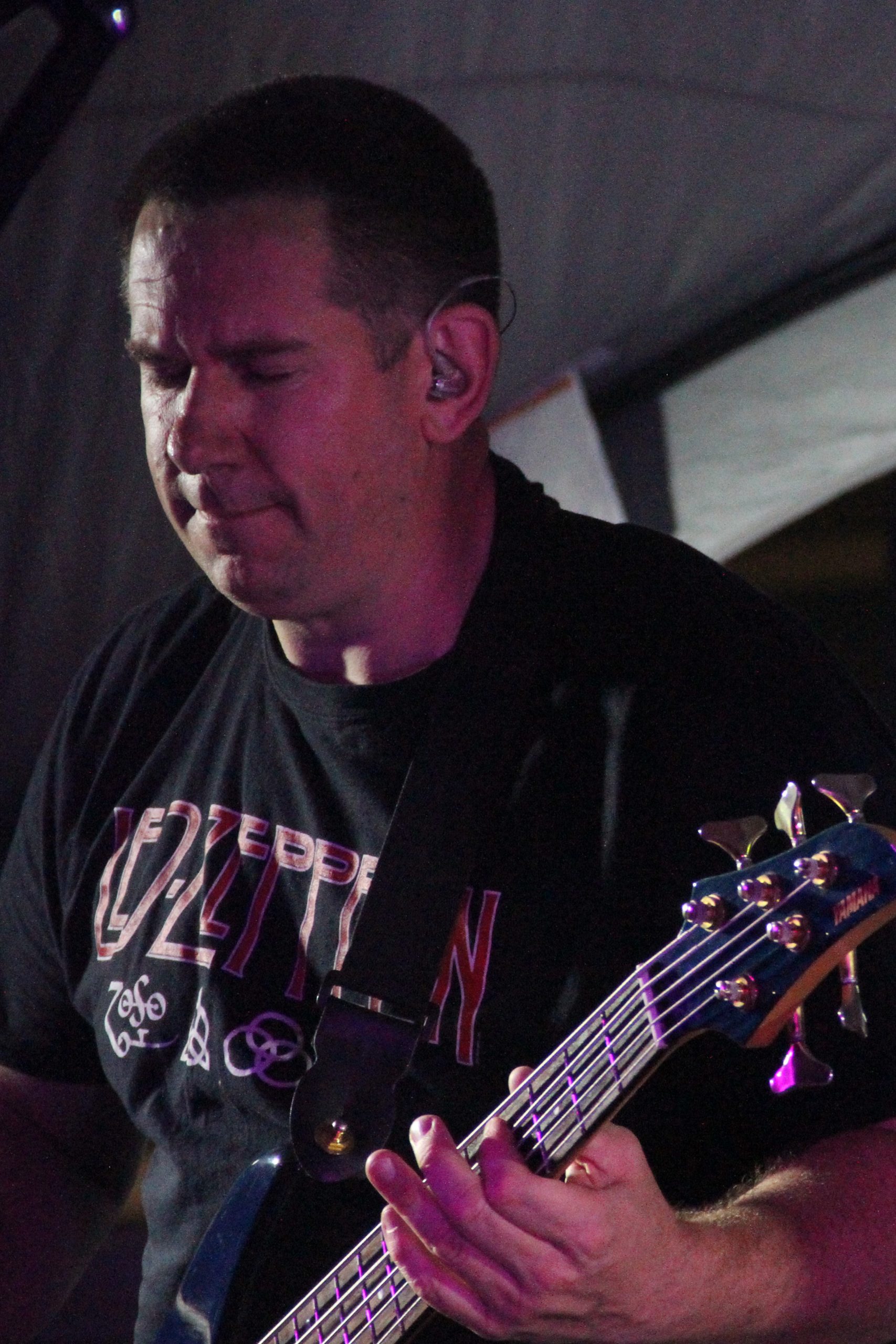 The Dark Horses | About The Band